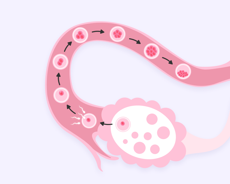 Glow Pregnancy Test Strips (20 Ct) | Easy Use, High Accuracy - Glow