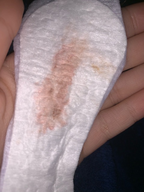 Implantation bleeding or Plan b spotting? - Glow Community