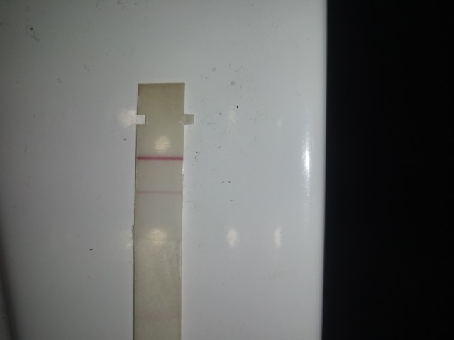 Evap line on frer??? - Glow Community