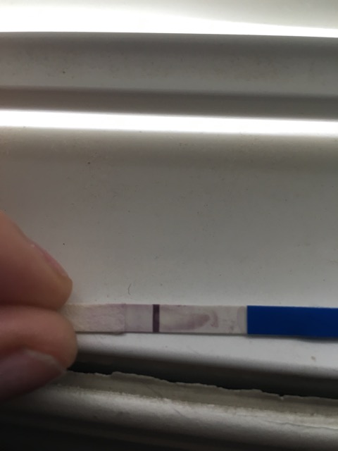 Dye run happened right when I took the test, checked next morning and a ...